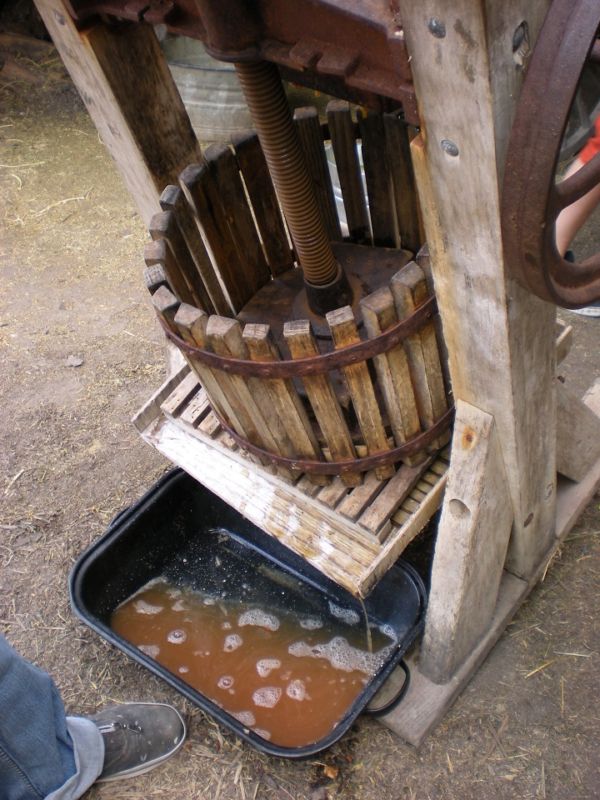 Pioneer Living Experience - Pioneer Farm Museum